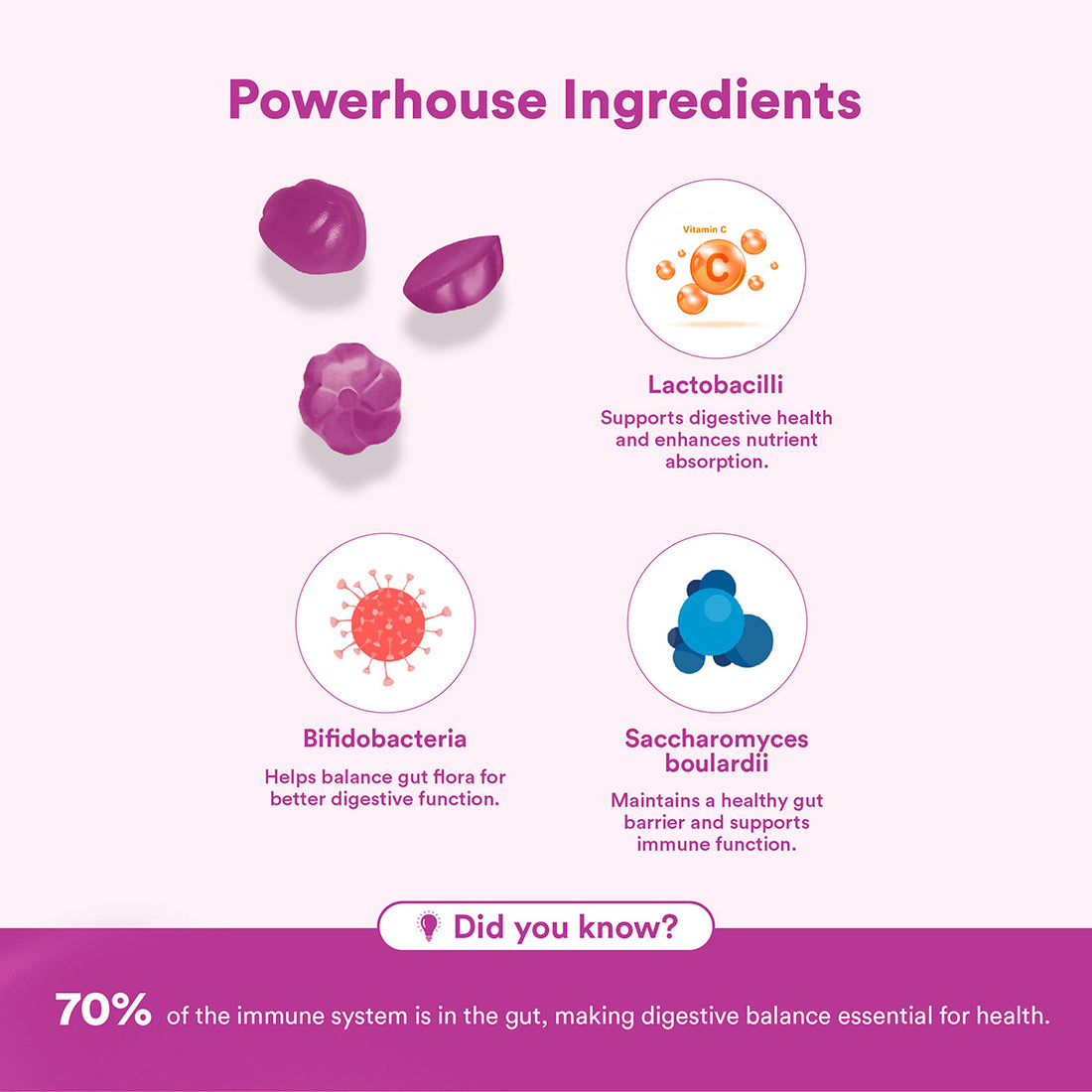 Nutrie Pre+Post+Probiotic Gummies 60pcs (Digestive Health Supplement)