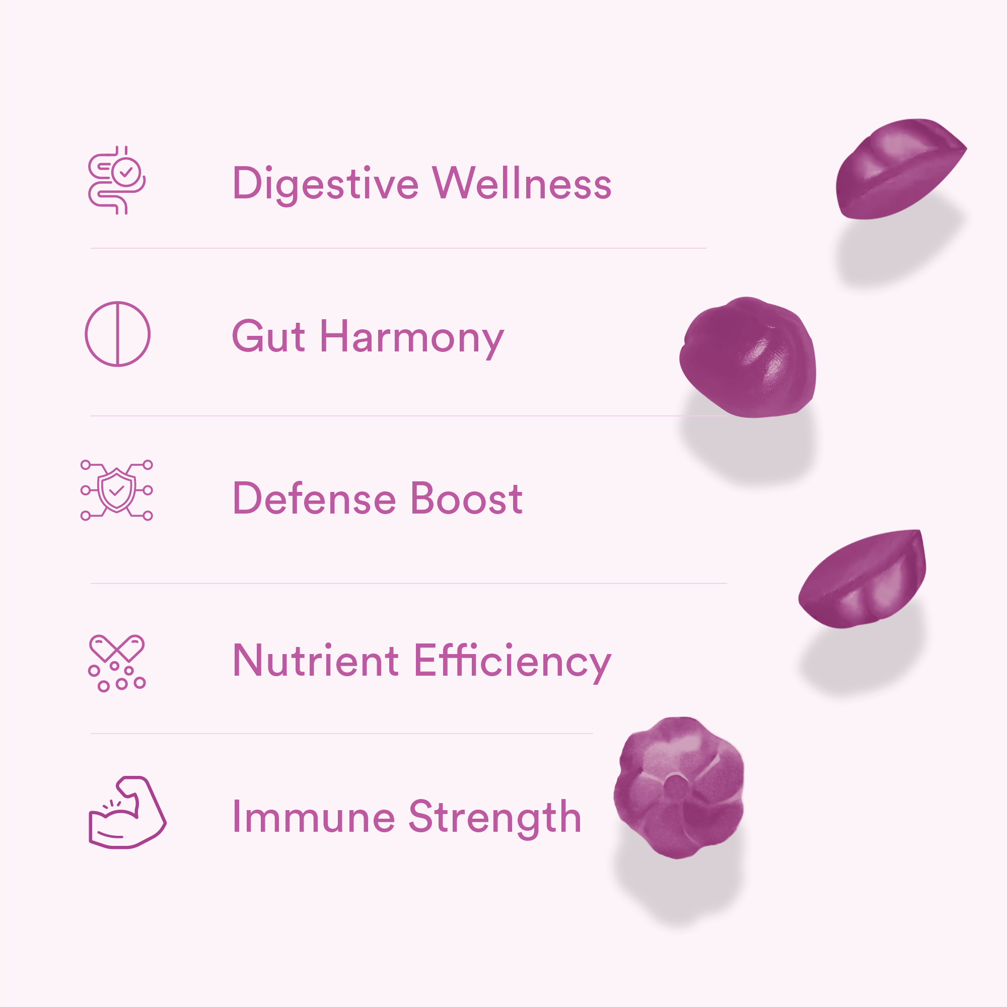 Nutrie Pre+Post+Probiotic Gummies 60pcs (Digestive Health Supplement)