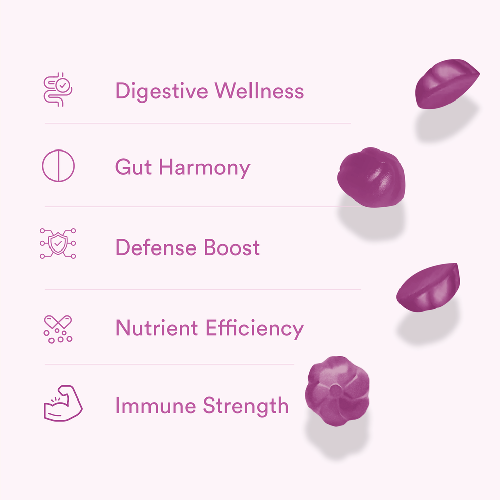 Nutrie Pre+Post+Probiotic Gummies 60pcs (Digestive Health Supplement)
